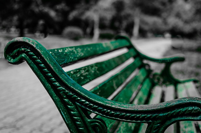 Sharon Tabberer: Launching Talking Benches | Sheffield Flourish