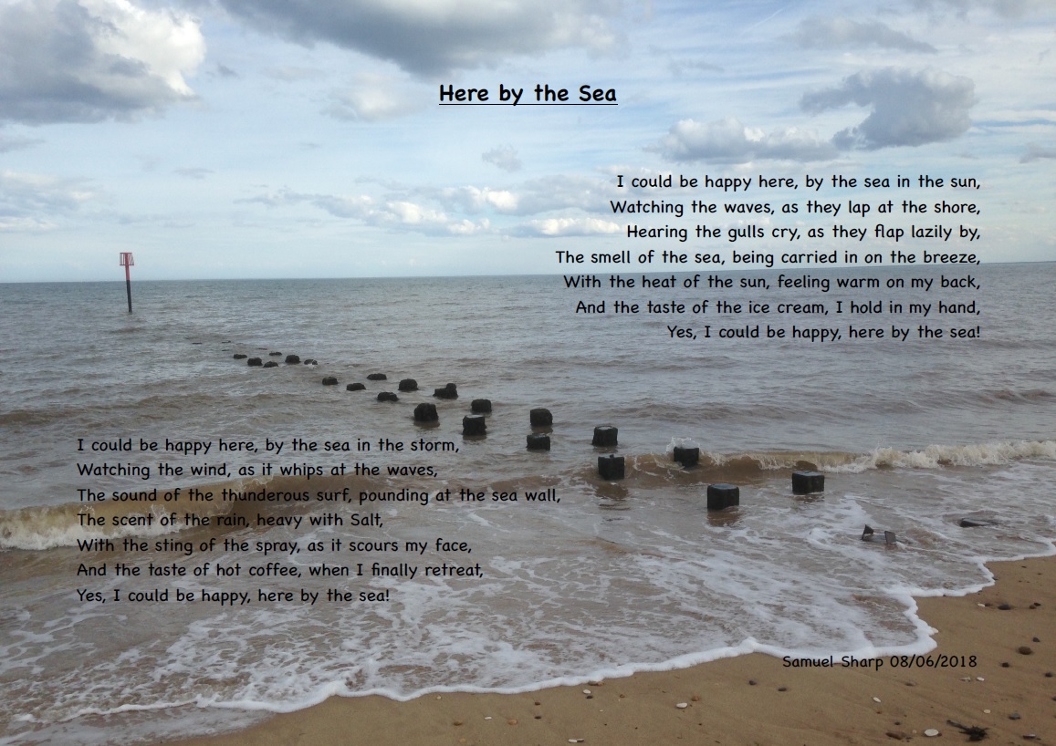 Sam Sharp: Here by the Sea | Sheffield Flourish