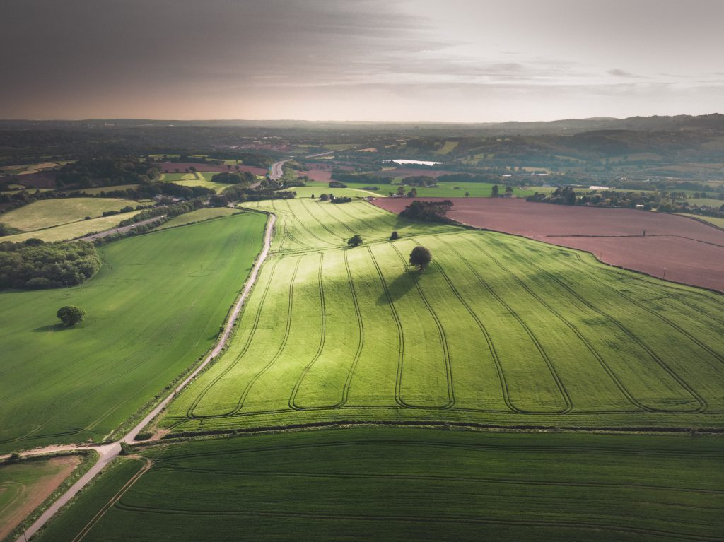 Stacey Anderson: Field | Sheffield Flourish
