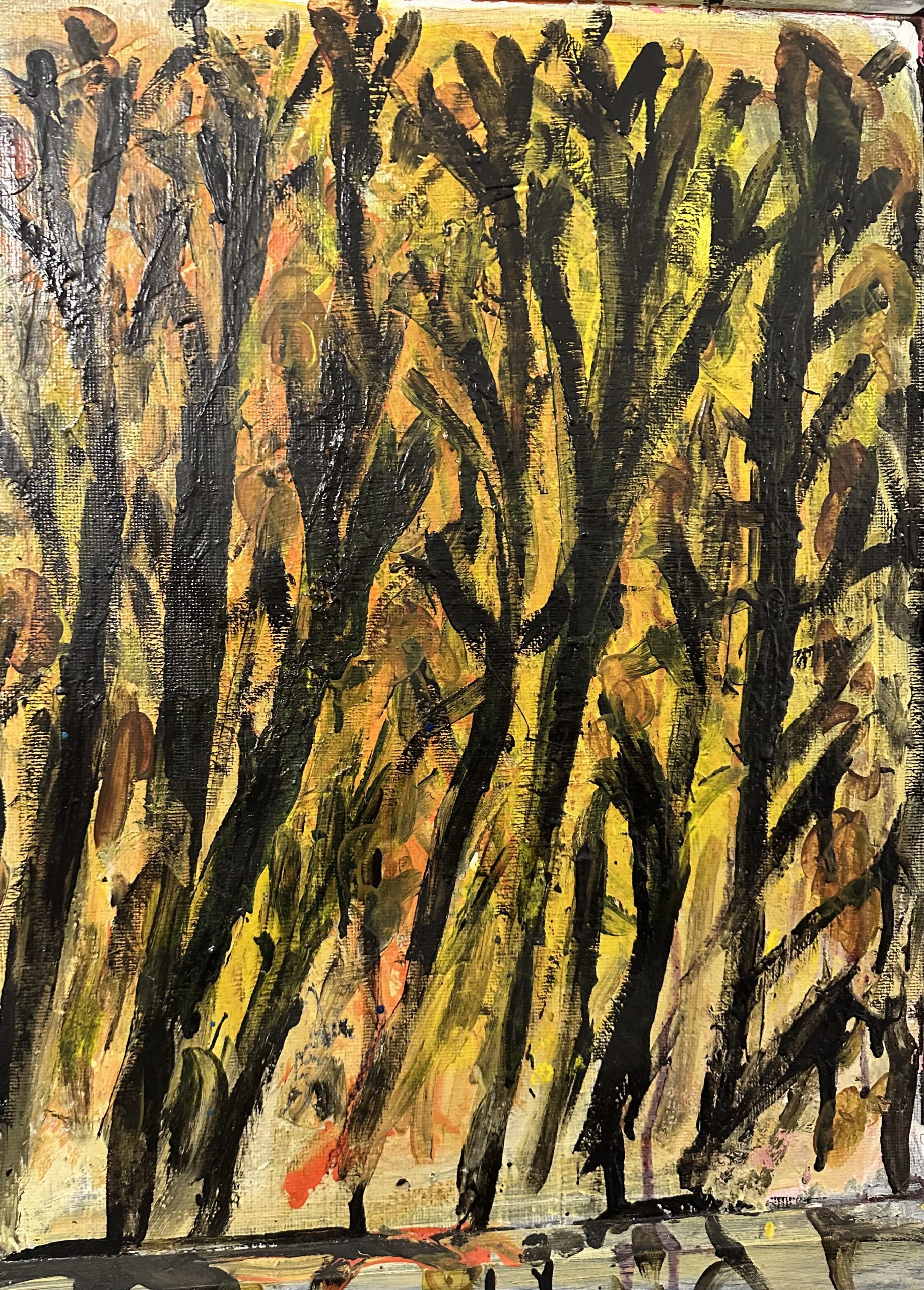 Neil's Story | Sheffield Flourish